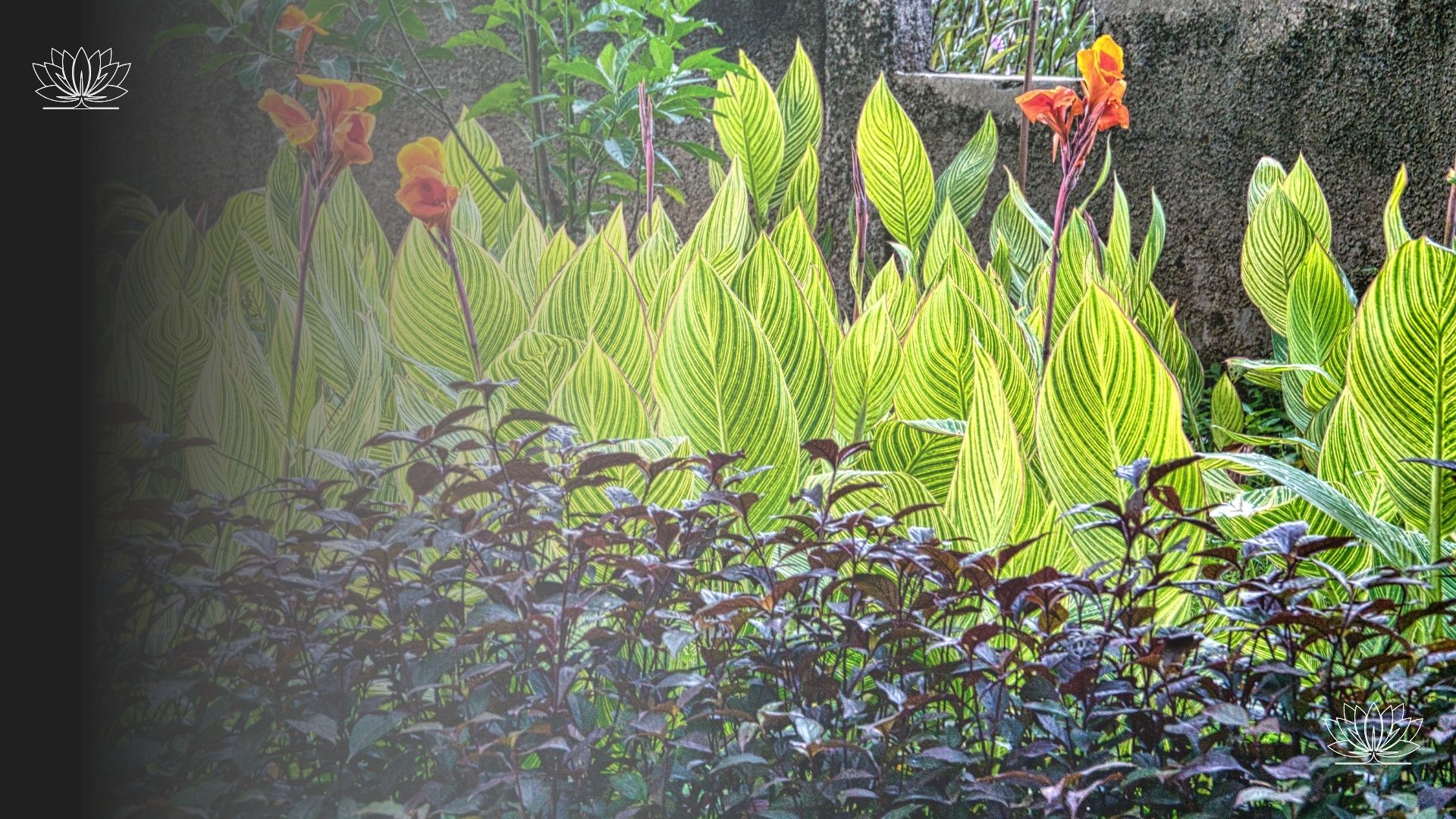Designing a Biodiverse Planting Plan for Year-Round Garden Appeal ...