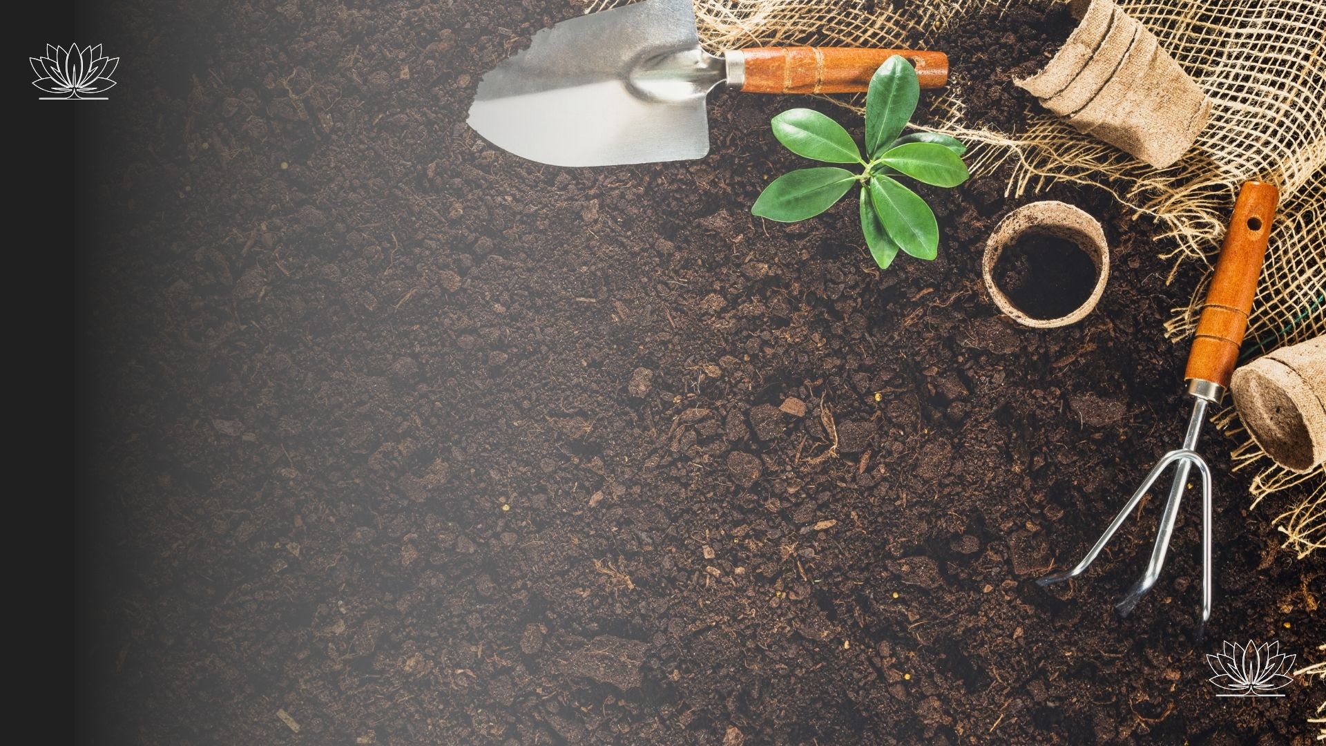 Soil Types and Their Impact on Plant Selection for Effective Garden ...